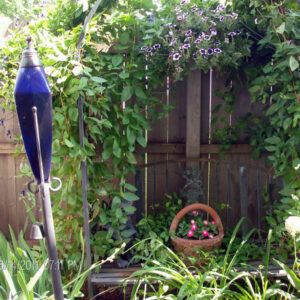 Gallery | Historic General Dodge House